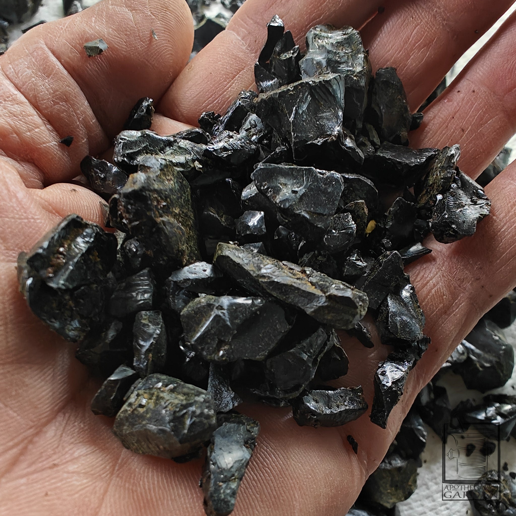 Propolis Resin - Apothecary's Garden