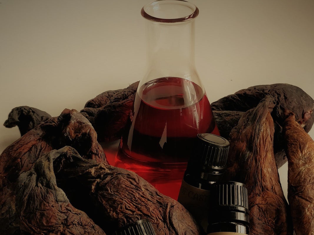 Castoreum-Beaver Castor Tincture - Apothecary's Garden