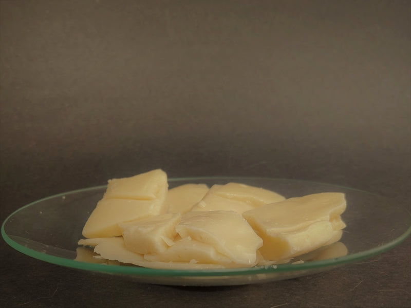 Chicle-Aztec chewing gum - Apothecary's Garden