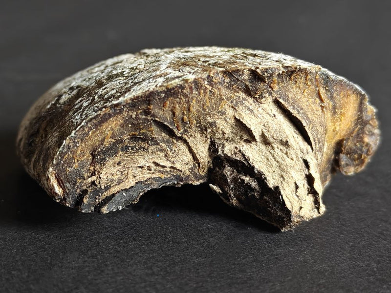 Ambergris-Raw