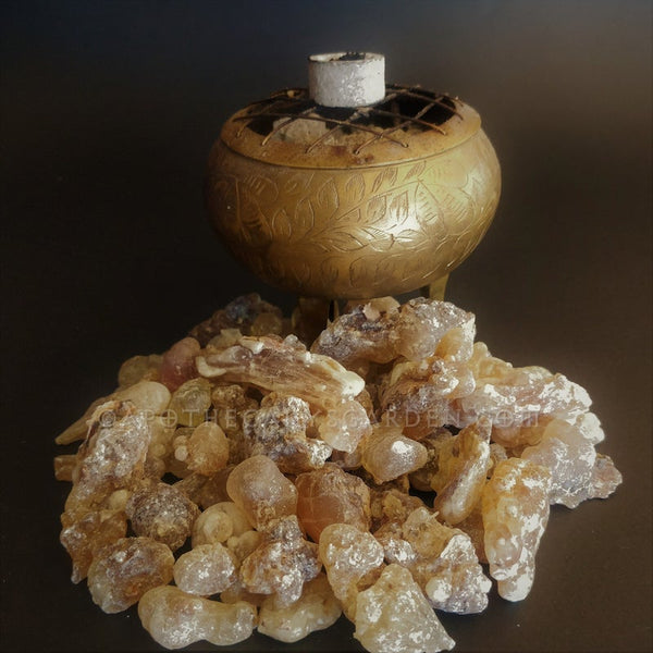 Red Hojari Frankincense - Apothecary's Garden