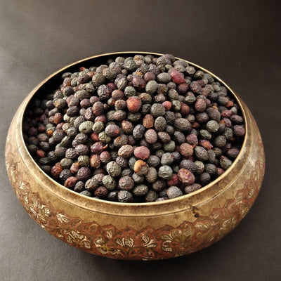 Home / Products / Terebinth Seeds-Pistacia terebinthus